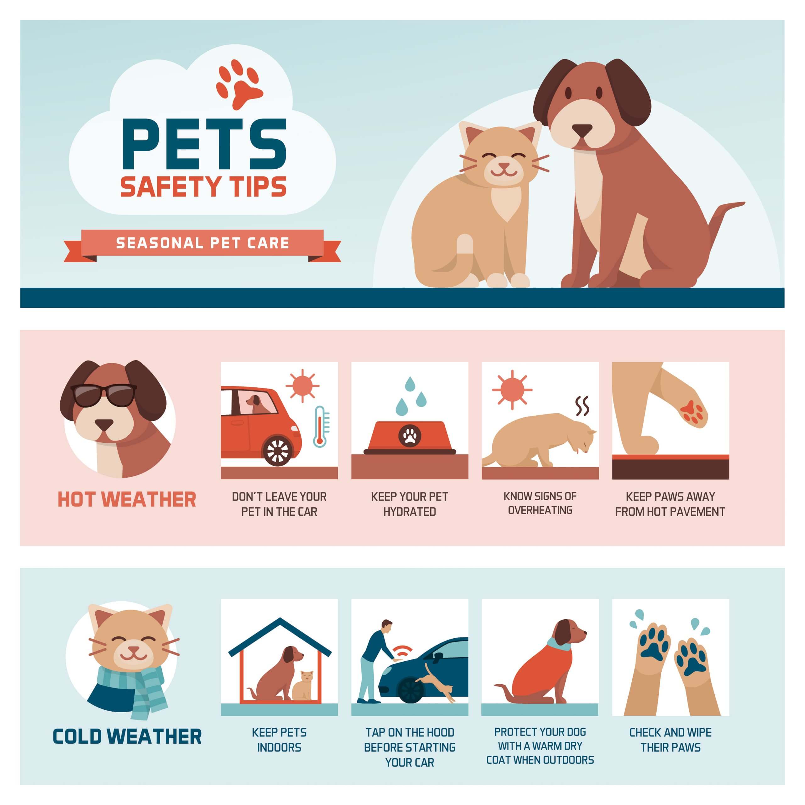 Seasonal Pet Safety Tips Animal Medical Center Of Streetsboro